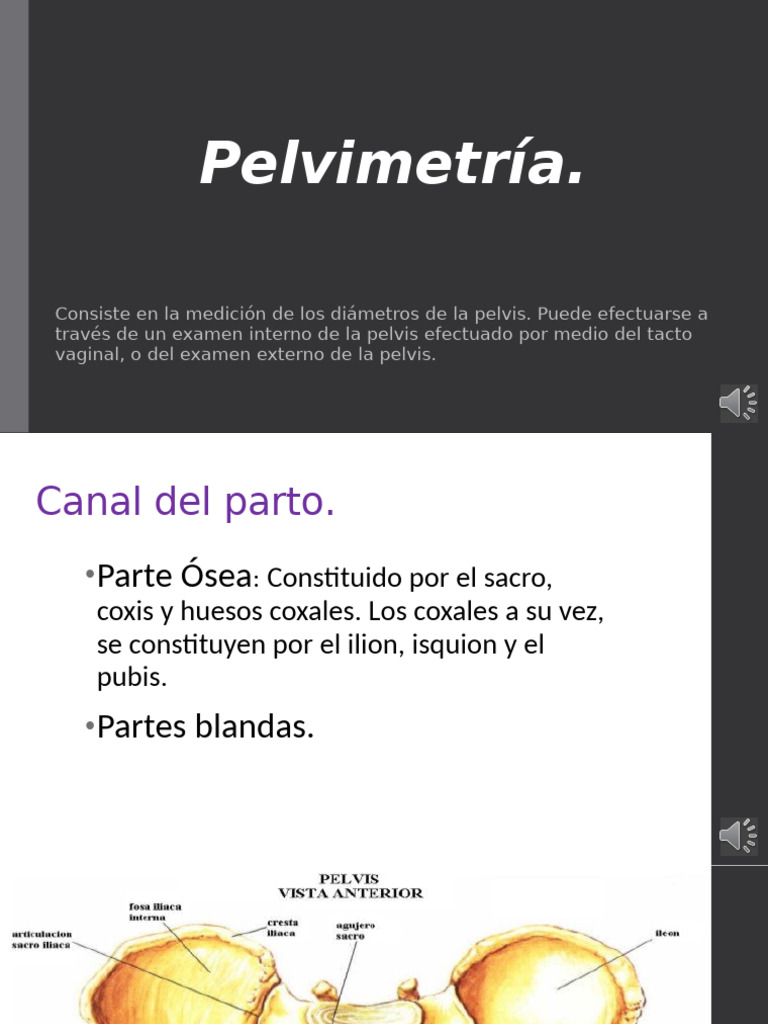 3 - Pelvimetria Con Audio | PDF | Pelvis