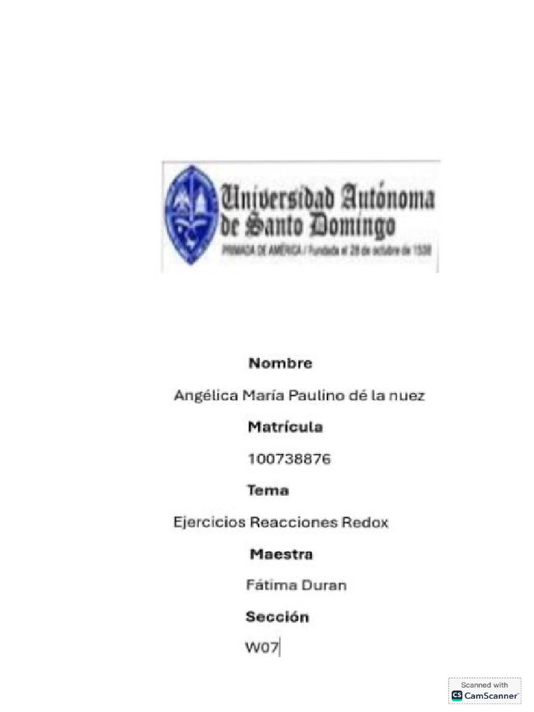 Reacciones Redox Pdf