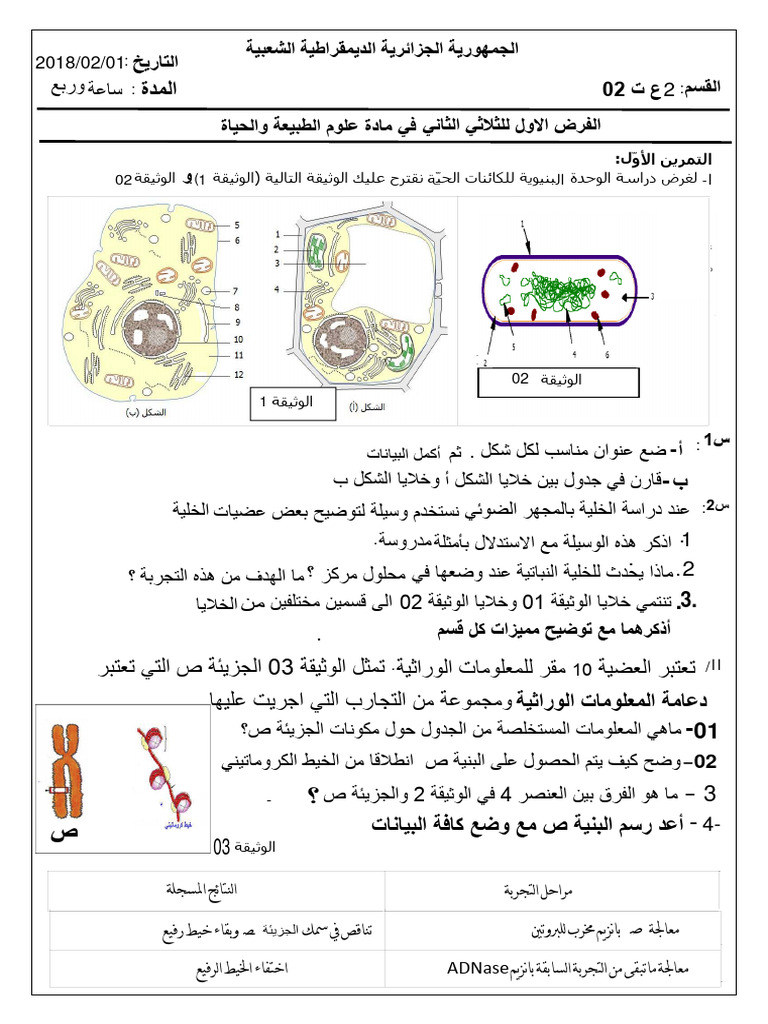 Dzexams 2as Sciences 1128167 | PDF