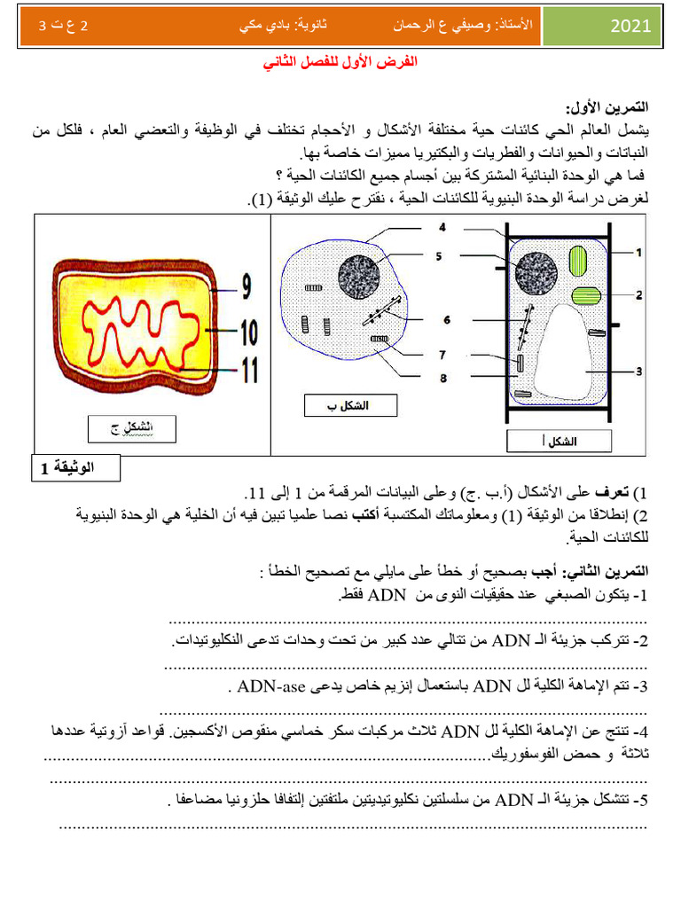 Dzexams 2as Sciences 1806762 | PDF