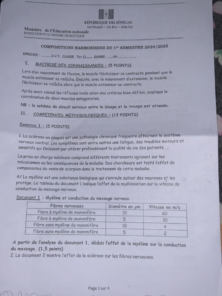 Composition SVR | PDF