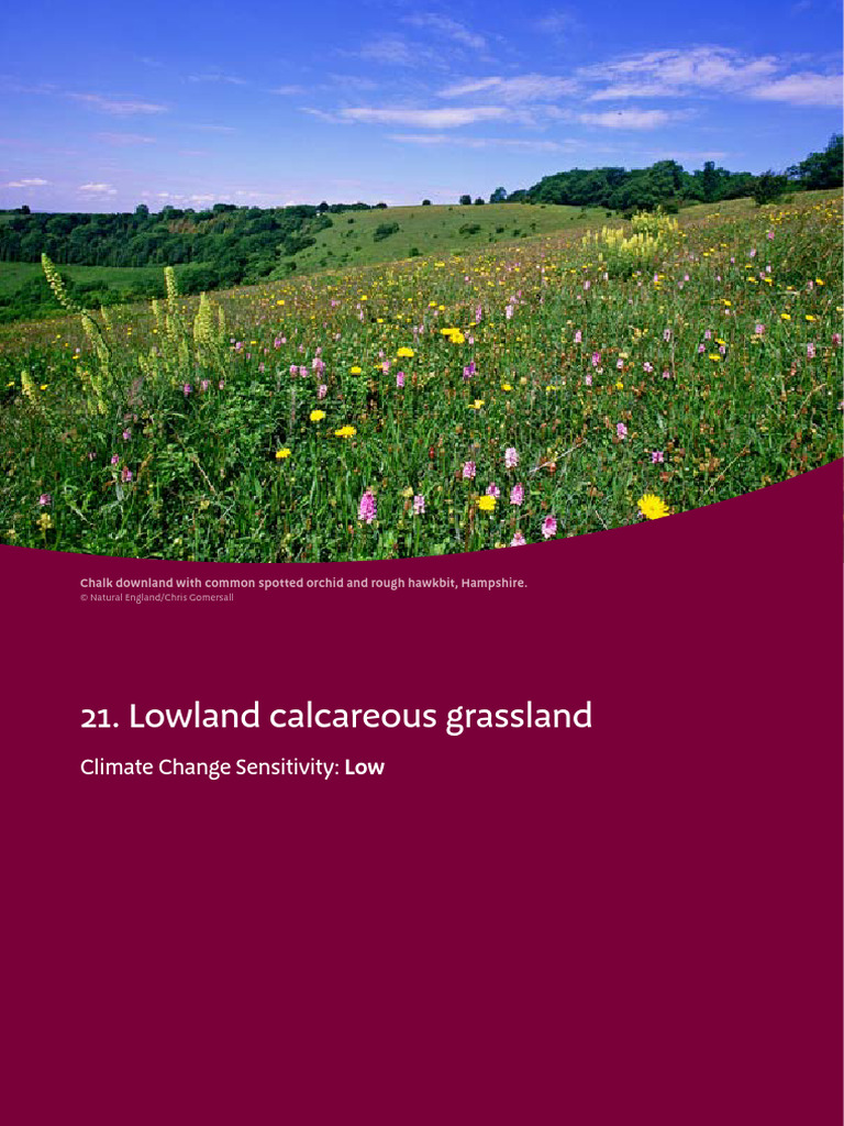 Lowland Calcareous Grassland | PDF | Grassland | Grazing