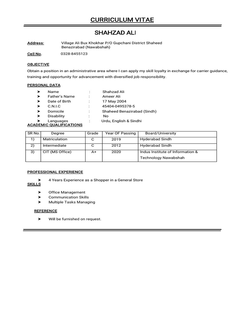 Shah Zad Cv Updated | PDF