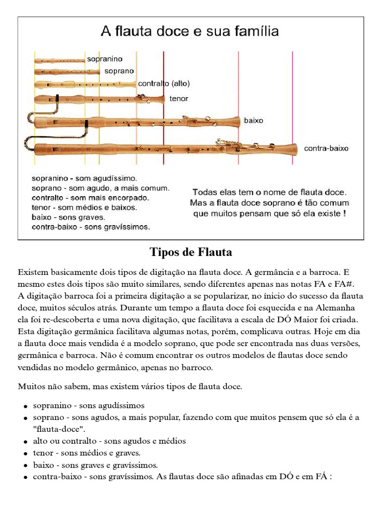 Tipos e Dicas para Flauta Doce | PDF | Flauta doce | Flauta
