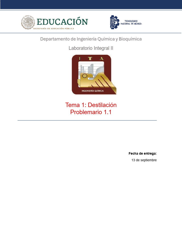 Problemario 1.1 | PDF