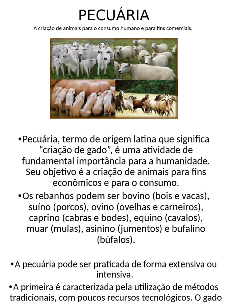 Pecuária: Tipos, Benefícios e Impactos | PDF