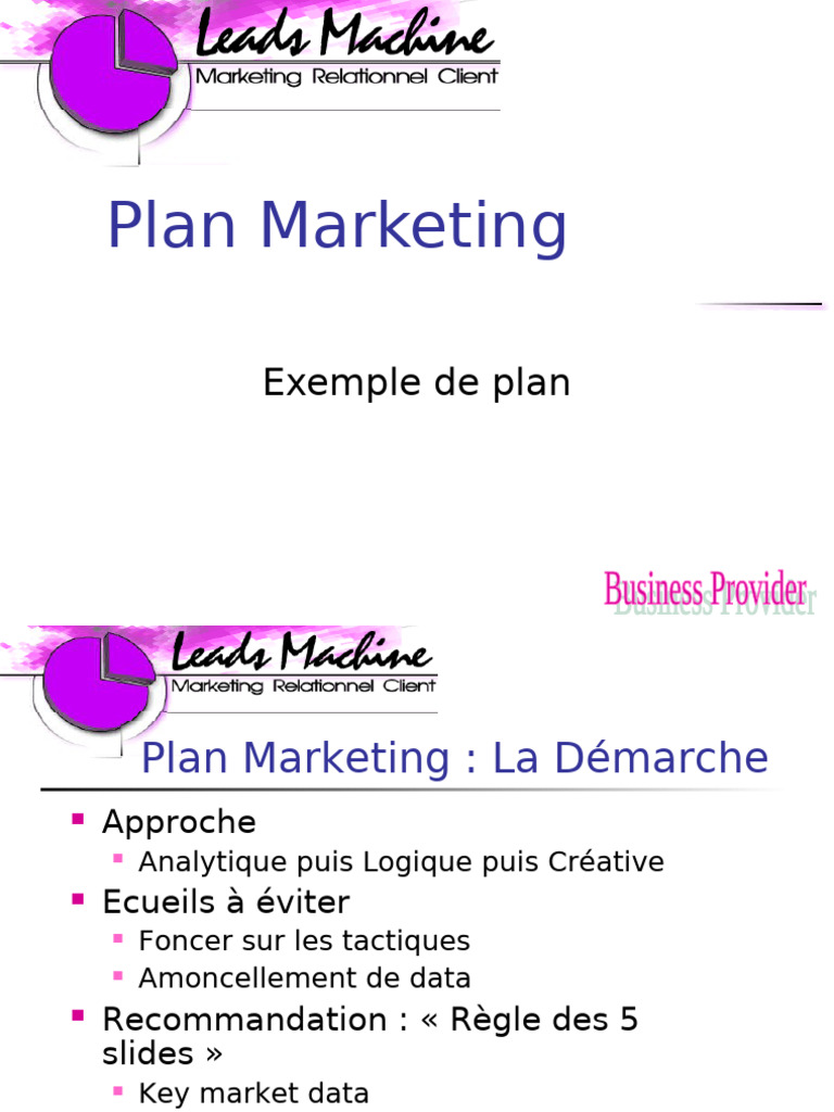 Sommaire Plan Marketing | PDF | Commercialisation | Analyse SWOT