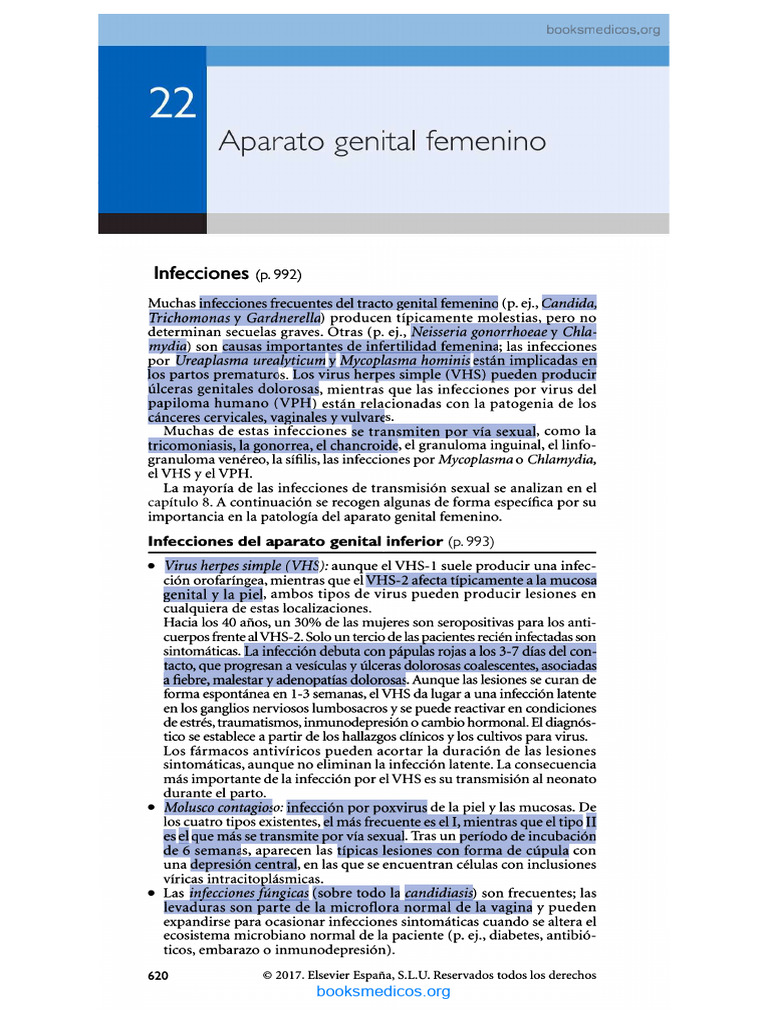 Aparato Femenino Compendio | PDF