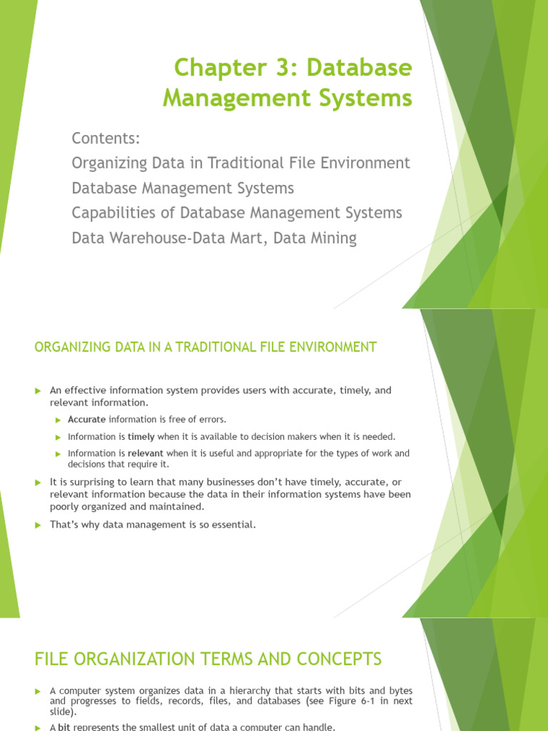 Database Systems for Businesses | PDF | Databases | Data Warehouse