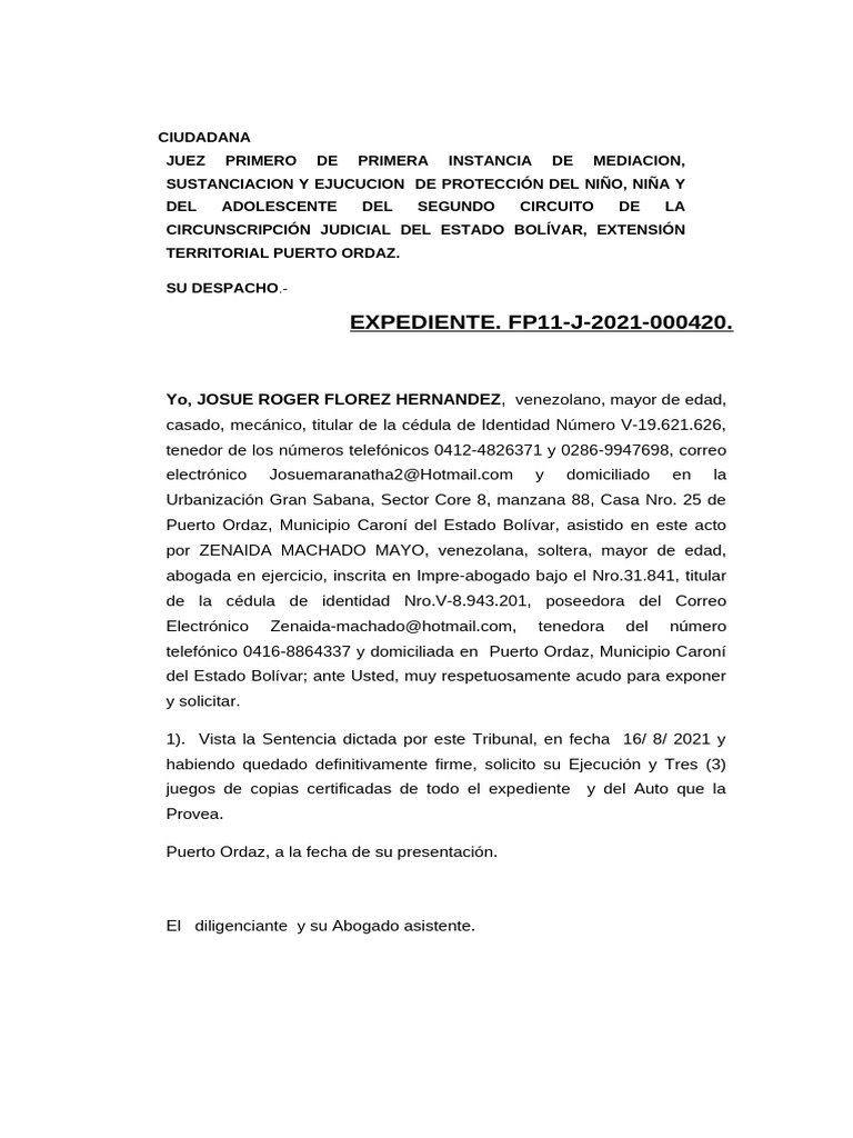 ESCRITO DE EJECUCION DE SENTENCIA DIVORCIO JOSUE FLOREZ | PDF