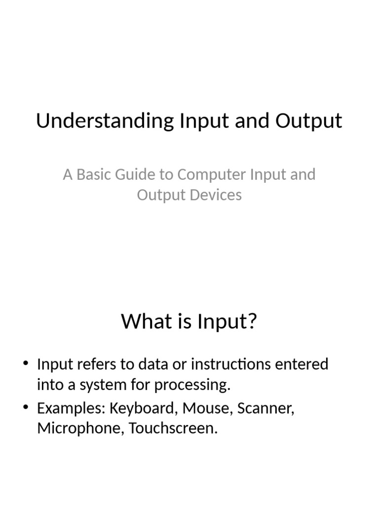 Input Output Presentation | PDF