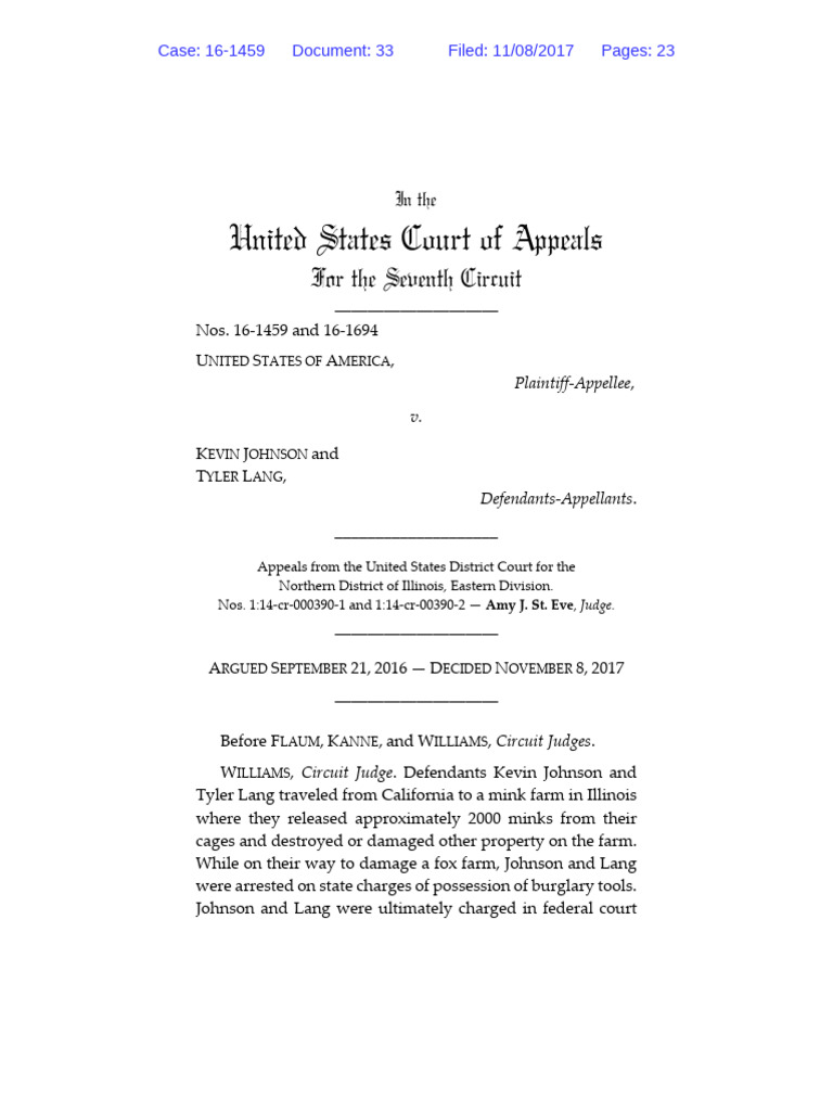US v Johnson Appellate Decision | PDF | Overbreadth Doctrine | Facial ...