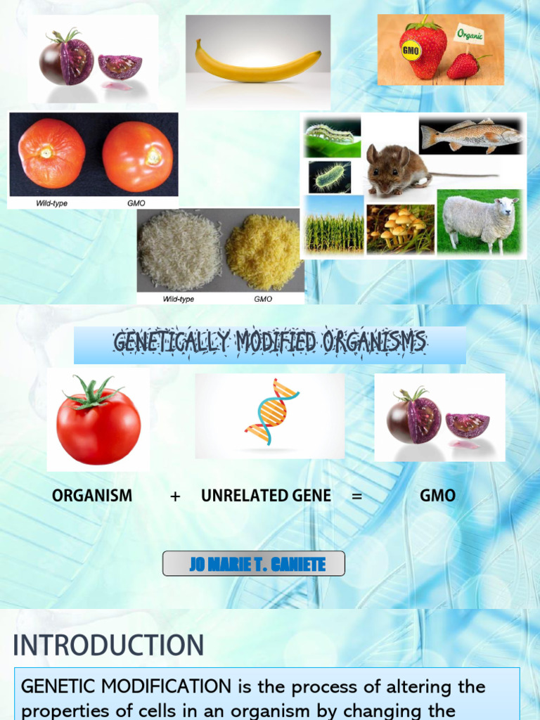 Genetic Engineering | PDF