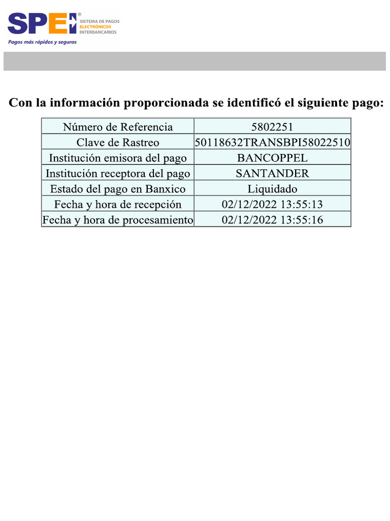 Reporte Estado de Pago | PDF