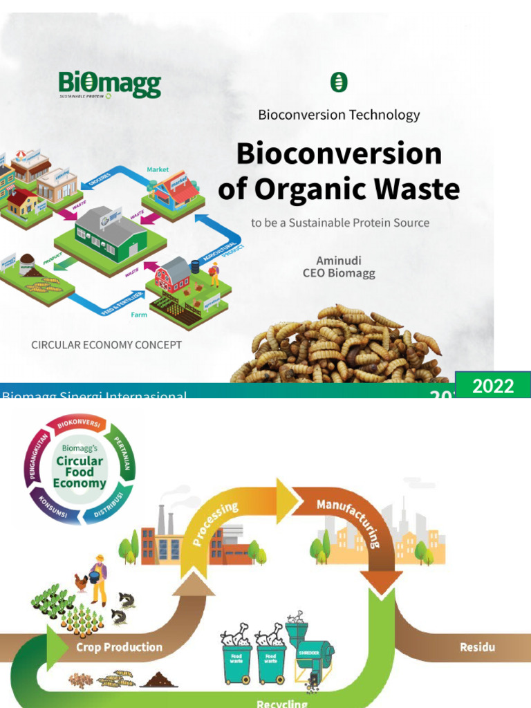 Bioconversion of Organic Waste with BSF | PDF | Fly | Waste