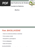 Bacillus anthracis: Características y Control | PDF | Ántrax | Bacilo