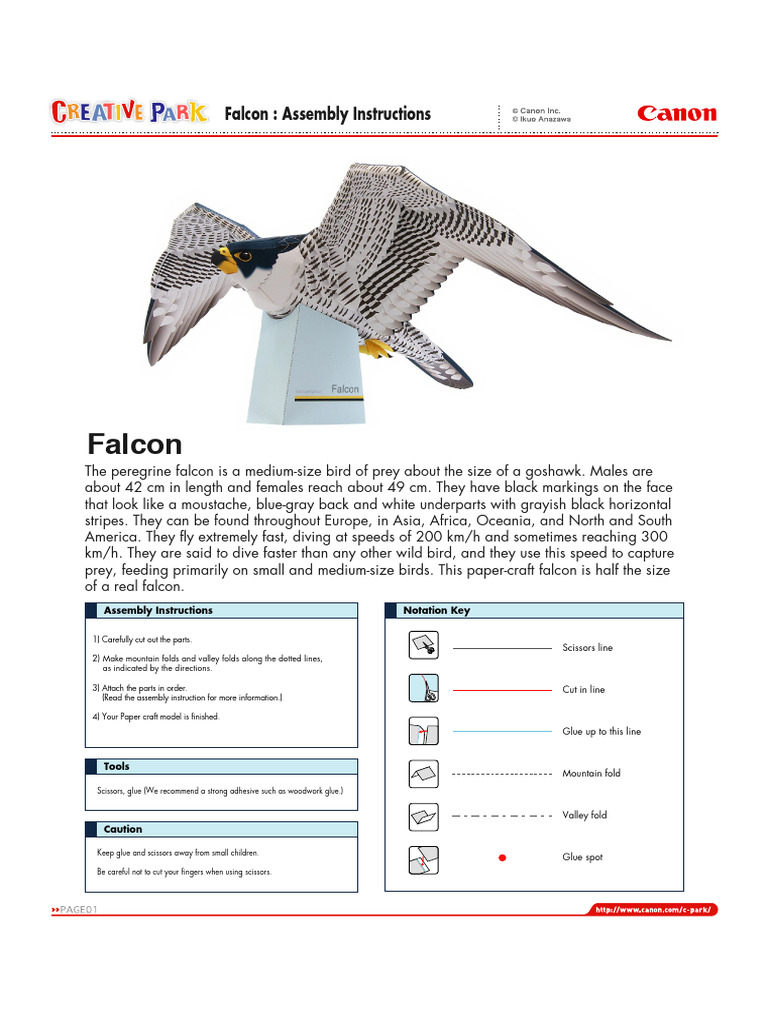 Captura de Tela 2023-03-29 à(s) 11.47.50 | PDF | Adhesive | Birds