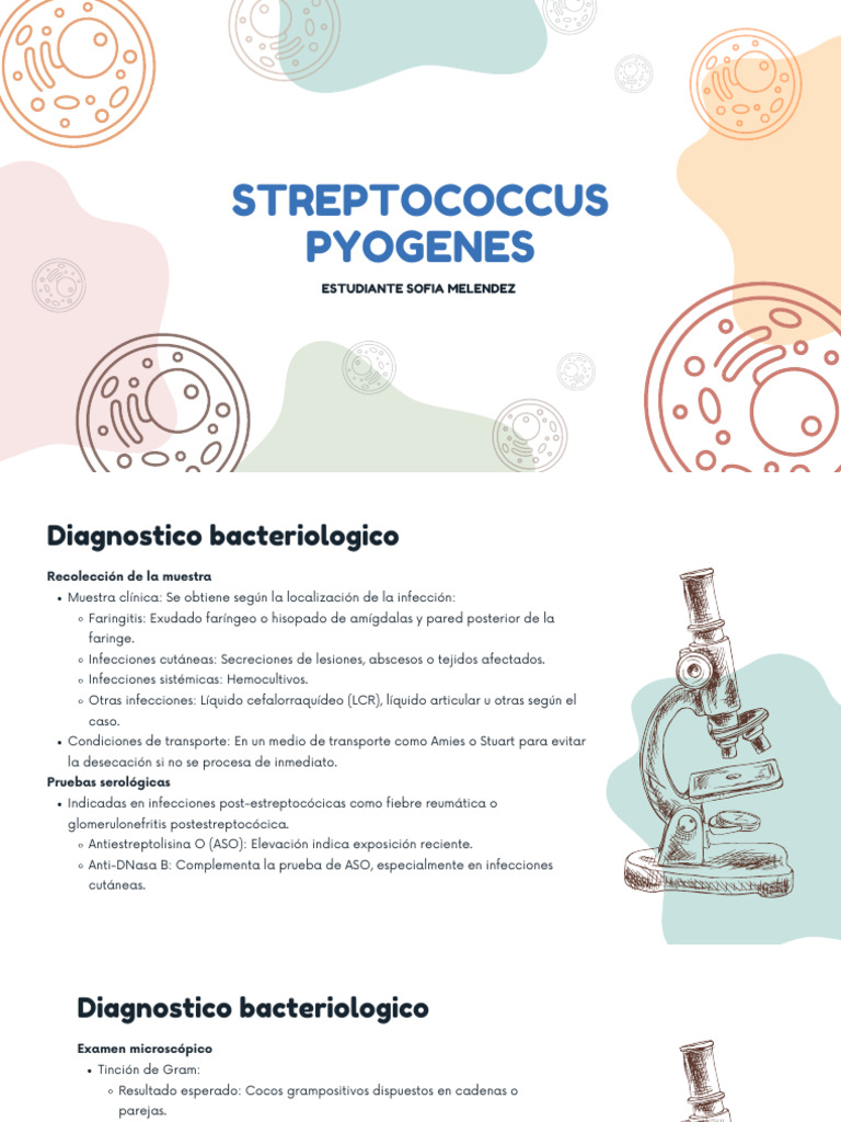 Diagnóstico y Tratamiento de Streptococcus pyogenes | PDF | Penicilina ...