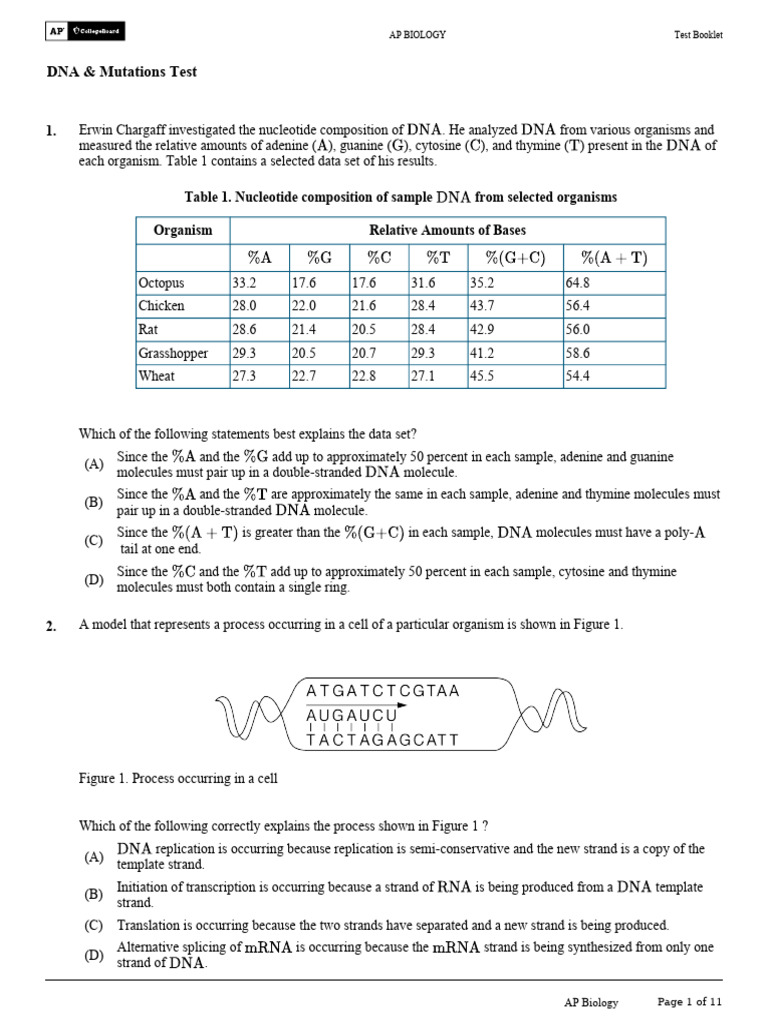 DNA & Mutations Test | PDF | Gene | Rna