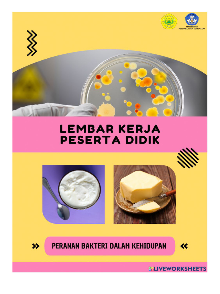 LKPD PERANAN BAKTERI | PDF