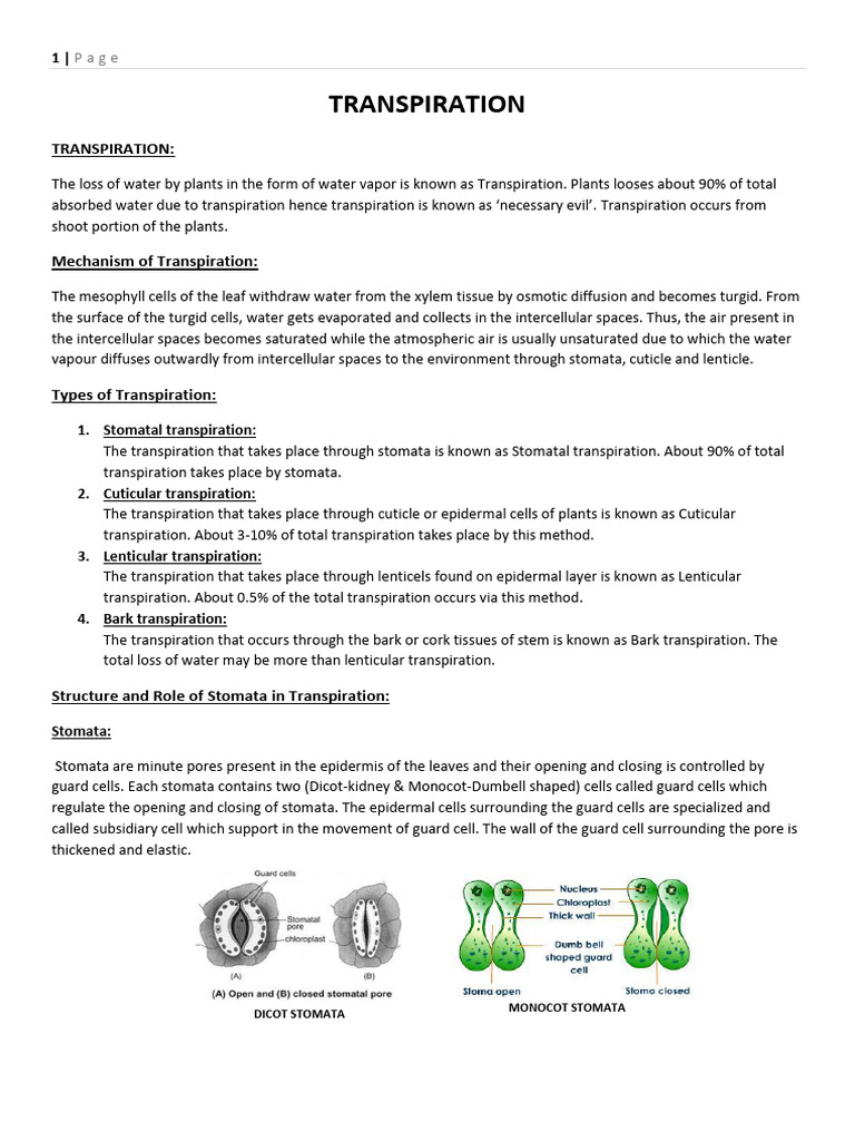 Transpiration_Complete-converted (1) | PDF | Stoma | Leaf