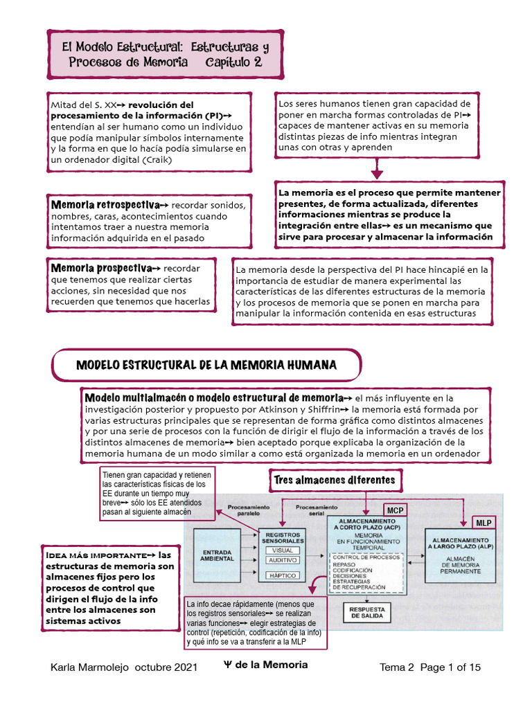 Cap2-El Modelo Estructural-Estructuras y Procesos de Memoria | PDF | Memoria | Cerebro