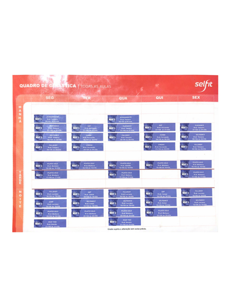 SELFIT | PDF
