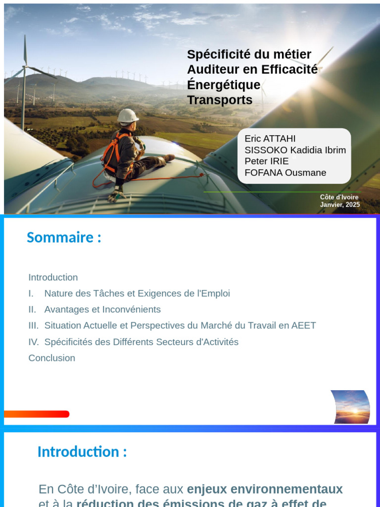 AEET-Rôles, Tâches Et Perspectives | PDF | Efficacité énergétique | Transport