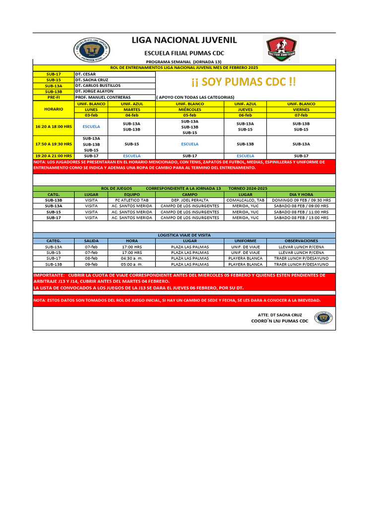 Roles de Entrenamientos y Juegos j13 | PDF