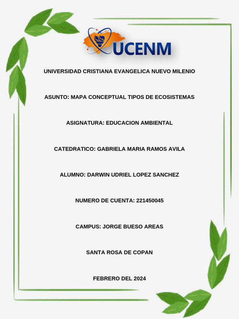 TAREA 2 MAPA MENTAL | PDF