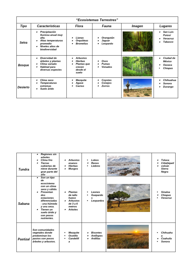 Características de Ecosistemas Terrestres | PDF | Arboles | Geografía Física