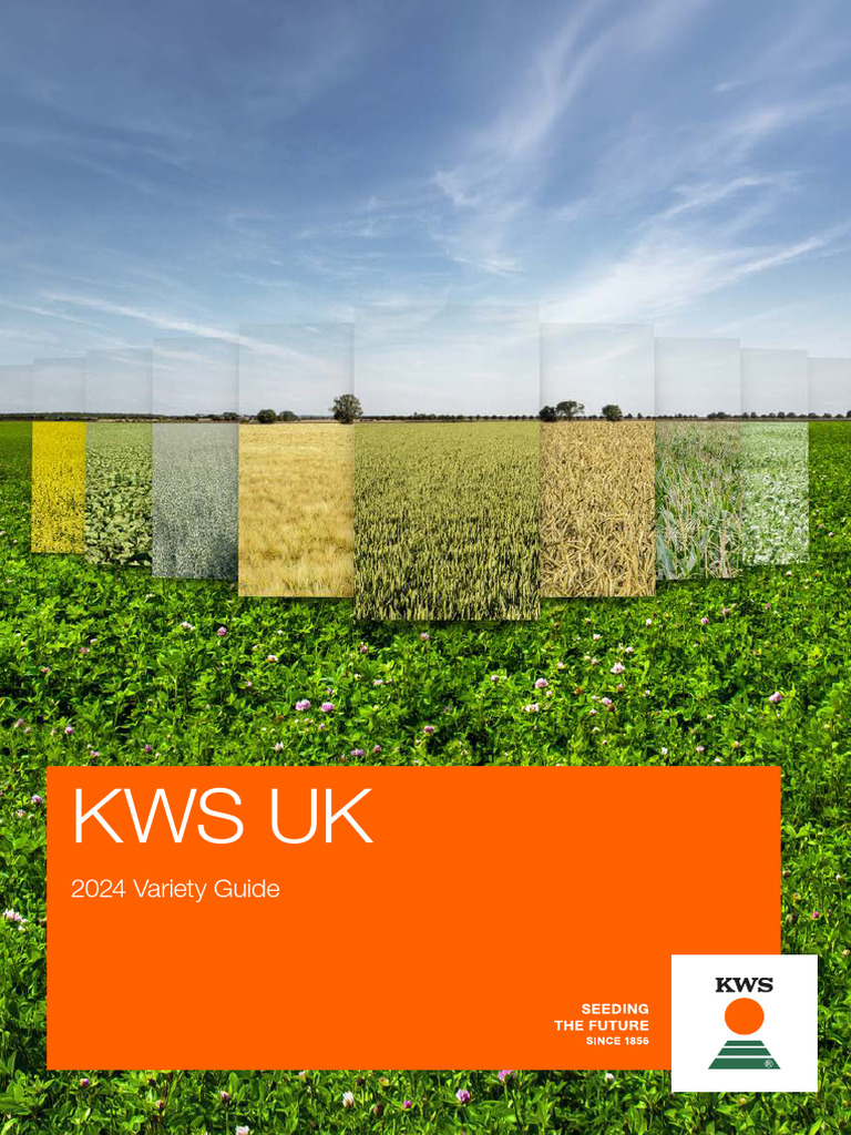Kws Variety Guide 2024 Digital | PDF | Wheat | Cereals