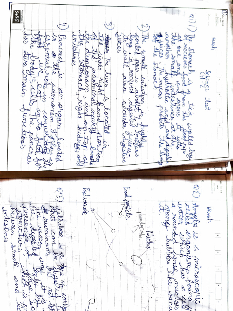 Ss papers std 7 | PDF