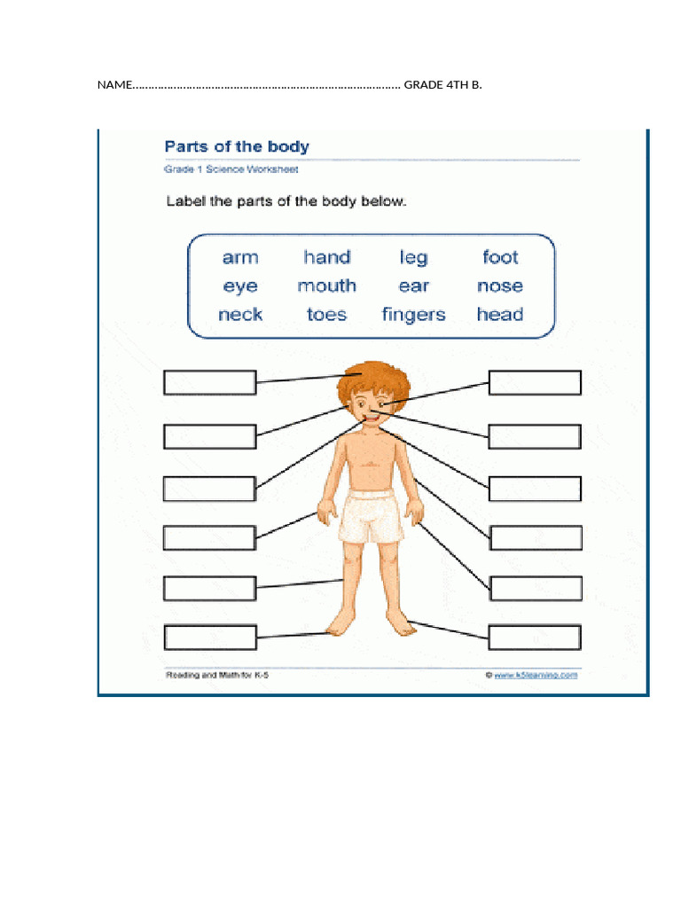 Parts of The Body 4TH B | PDF