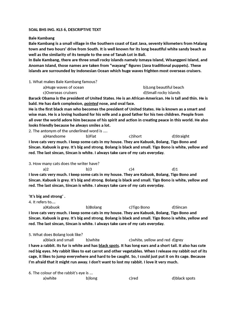 SOAL BHS ING Kls 6 DESCRIPTIVE TEXT | PDF