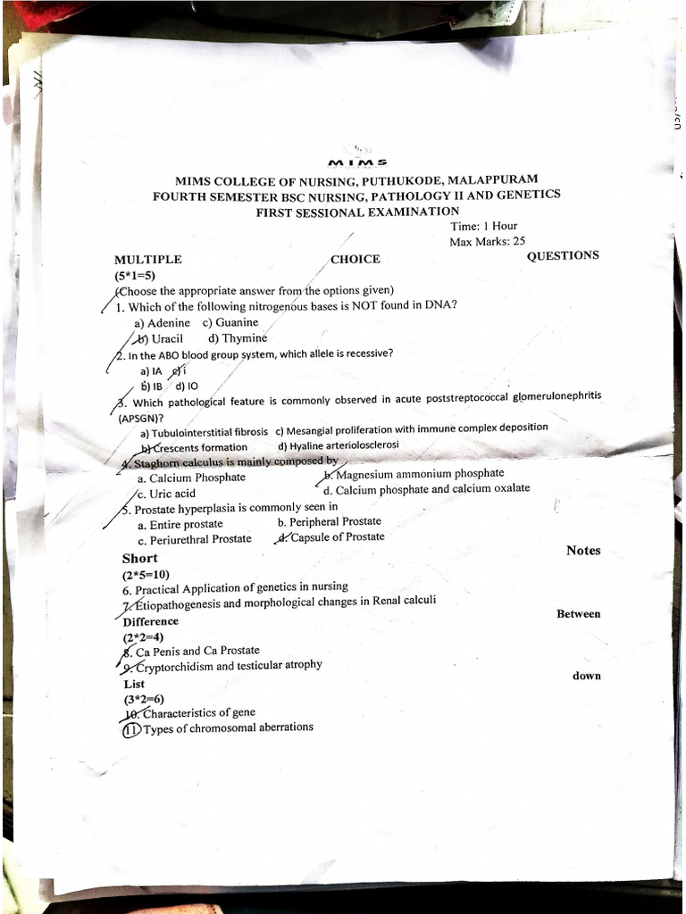 4th Sem Exams | PDF