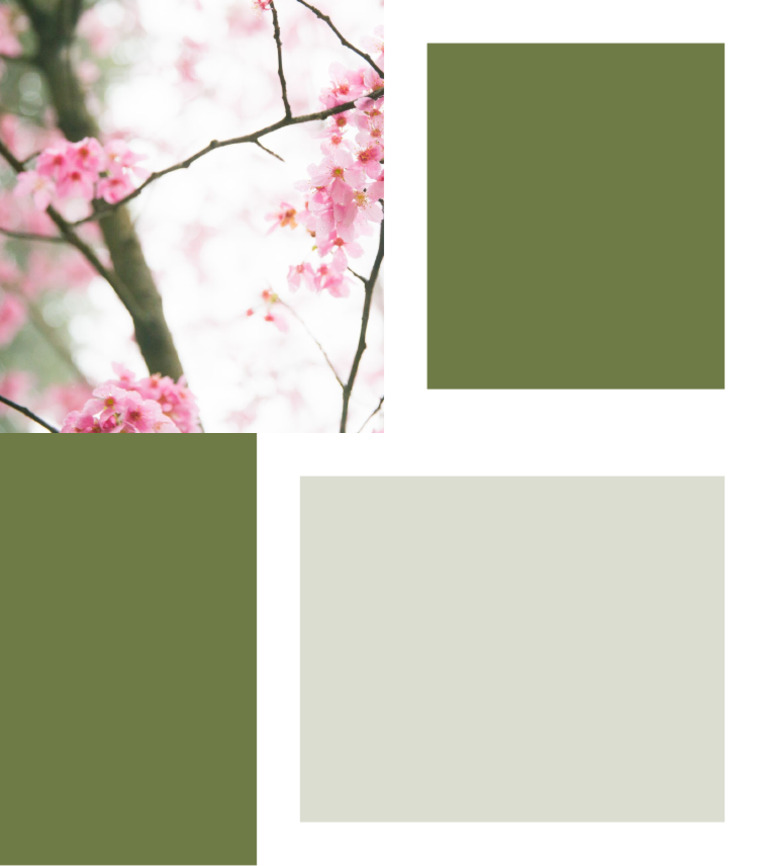 Bản Trình Bày (20) Cxss | PDF