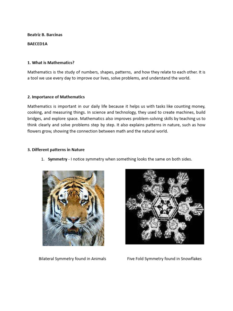 Patterns in Nature | PDF | Pattern | Mathematics