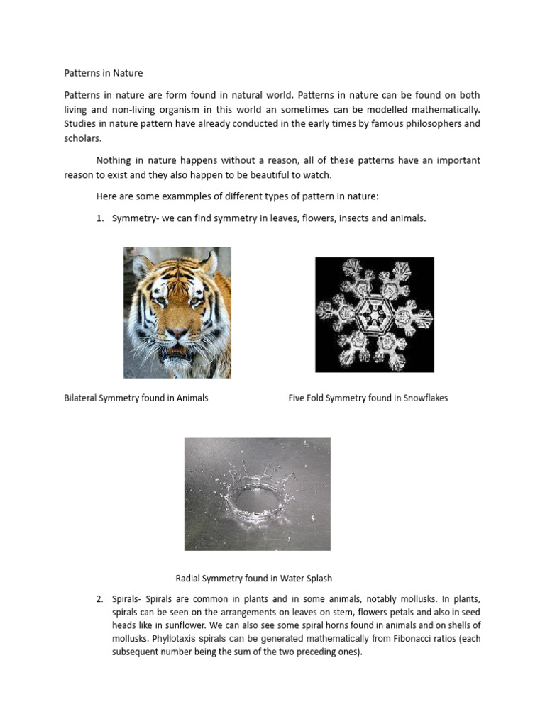 Patterns in Nature | PDF | Pattern | Nature