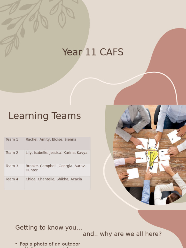 CAFS - Wellbeing | PDF | Well Being | Psychological Resilience