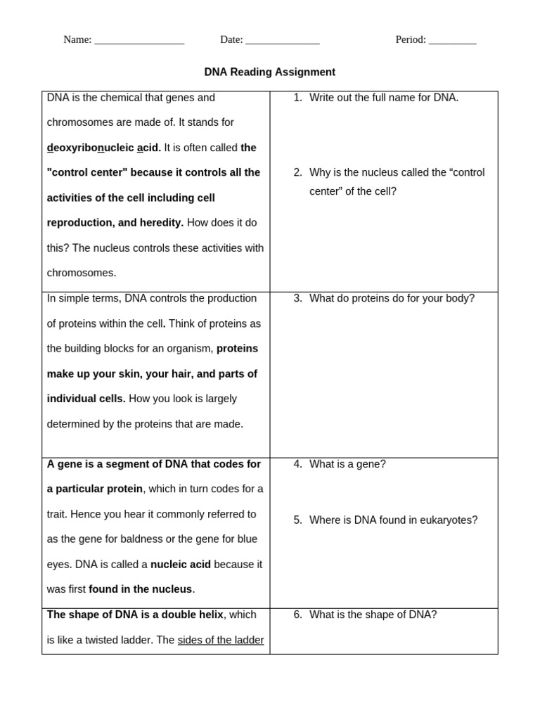 DNA Reading Worksheet MOD | PDF | Nucleotides | Dna