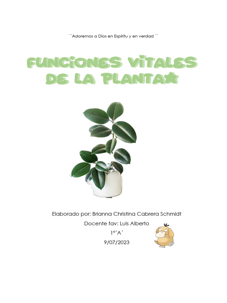 Funciones Vitales de La Planta | PDF | Fotosíntesis | Plantas