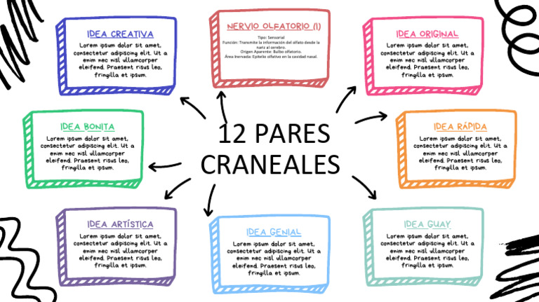 Mapa Mental 12 Pares Craneales | PDF