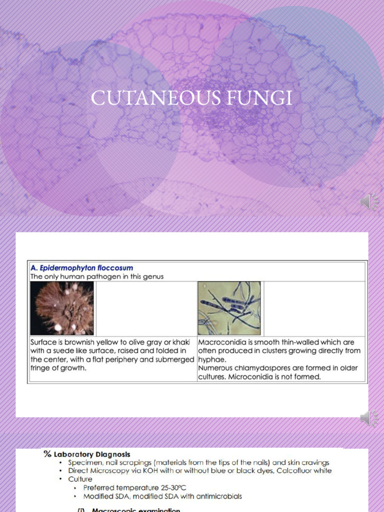 CUTANEOUS-AND-SUBCUTANEOUS.pptx | PDF