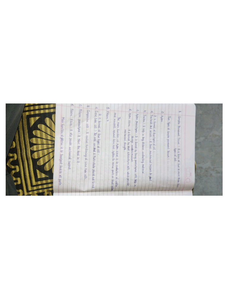 Tissue Notes 4 | PDF