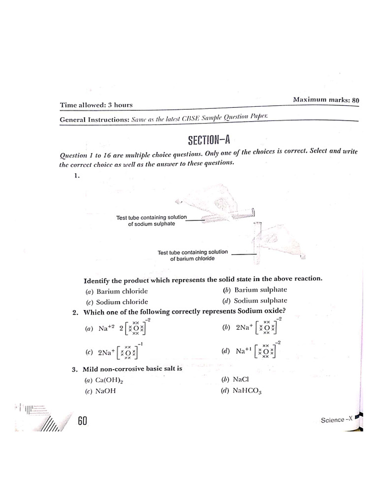 Sample Paper 1 Science 2024-25 | PDF