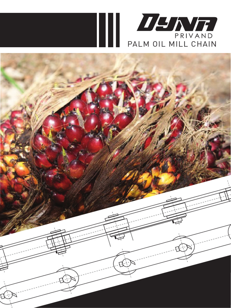 Dyna Conveyor Chain | PDF