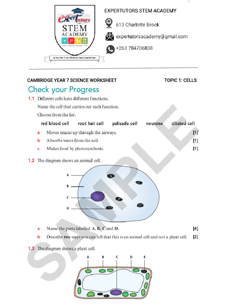 Cambridge Year 7 Unit 1 Worksheet | PDF