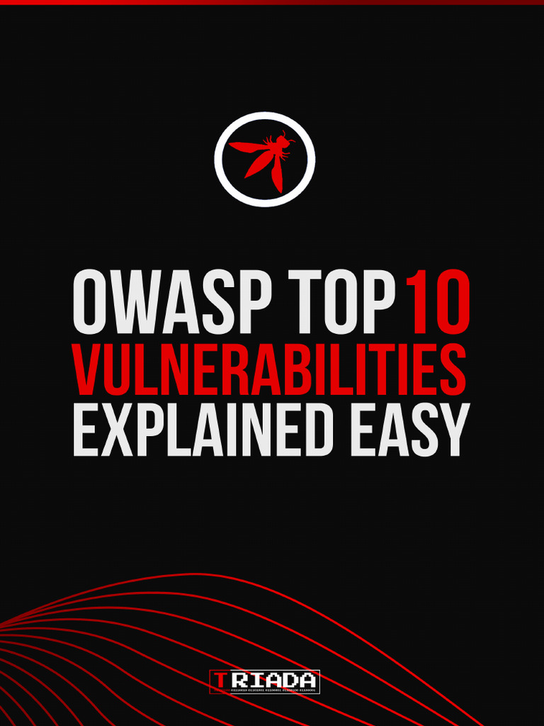 Owasp Top 10 Vulnerabilities Explained Easy | PDF