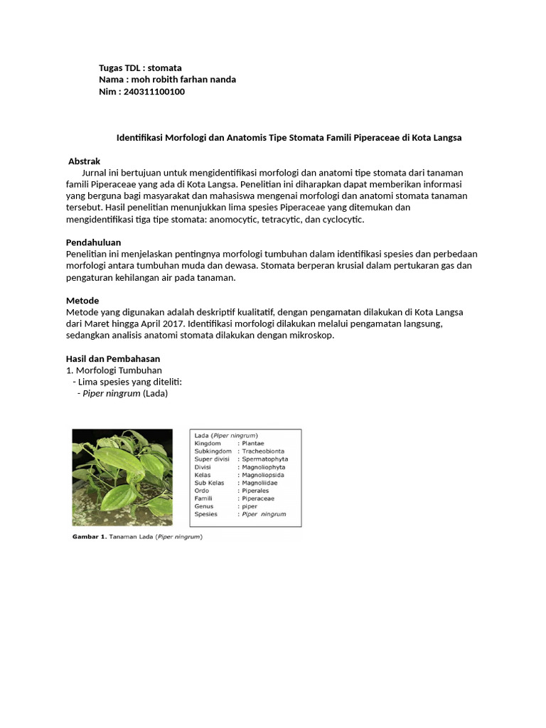 100_MOH ROBITH FARHAN NANDA_STOMATA_TDL | PDF